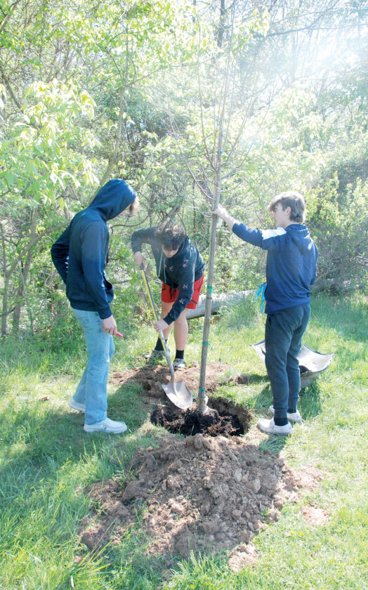 Students plant trees at Parkersburg South for Arbor Day | News, Sports ...